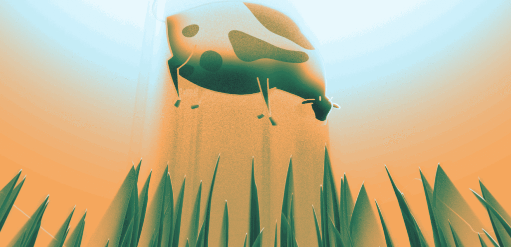 01 Best Austrian Animation - Programm - Best Austrian Animation